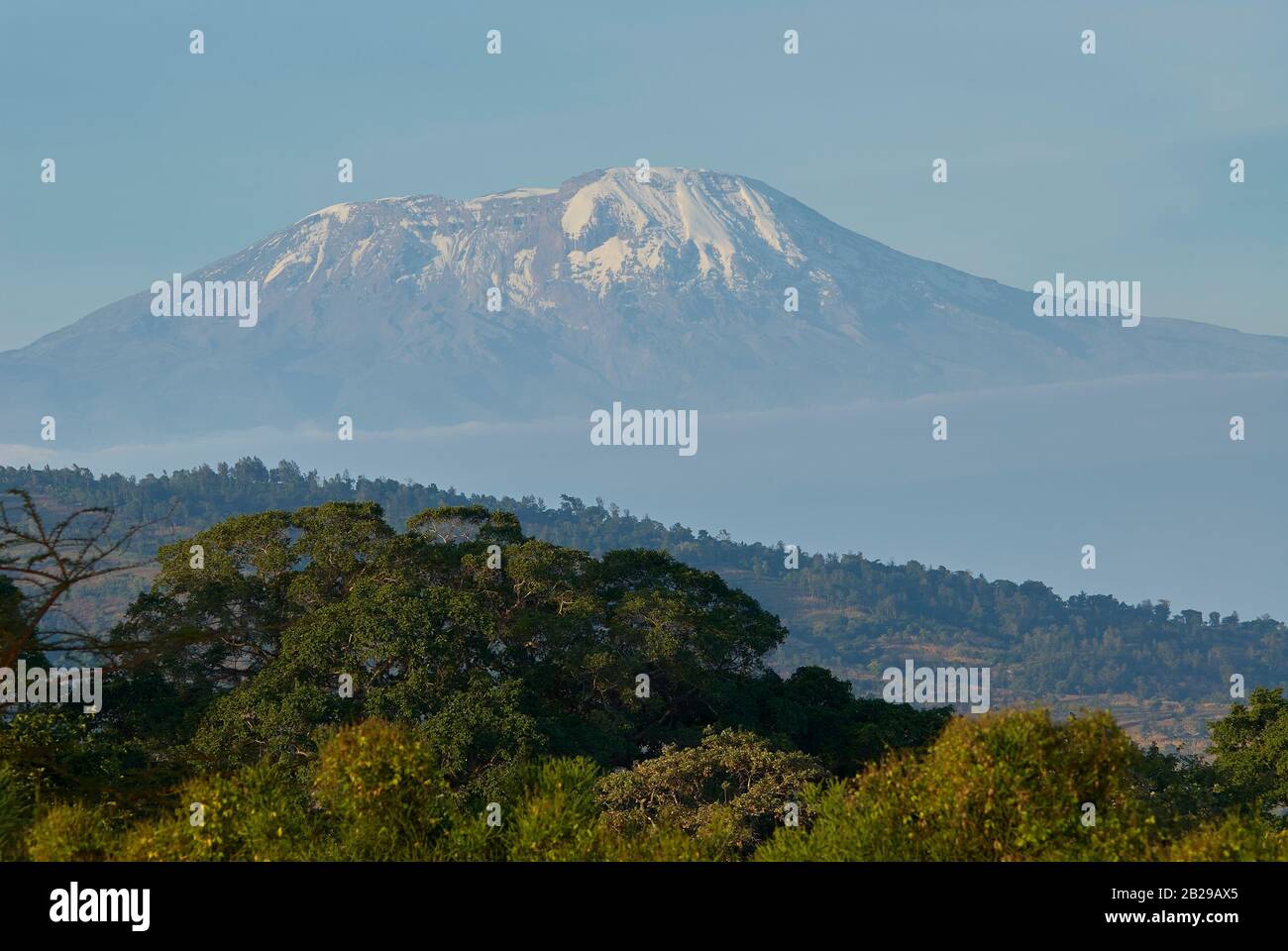 Mt Kilimanjaro with Kibo peak, the highest mountain in Africa Stock ...
