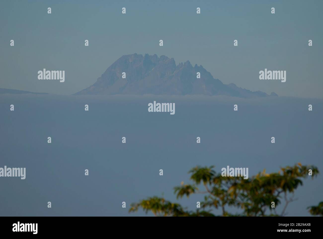 Mawenzi, one of Mt Kilimanjaro's three peaks Stock Photo - Alamy