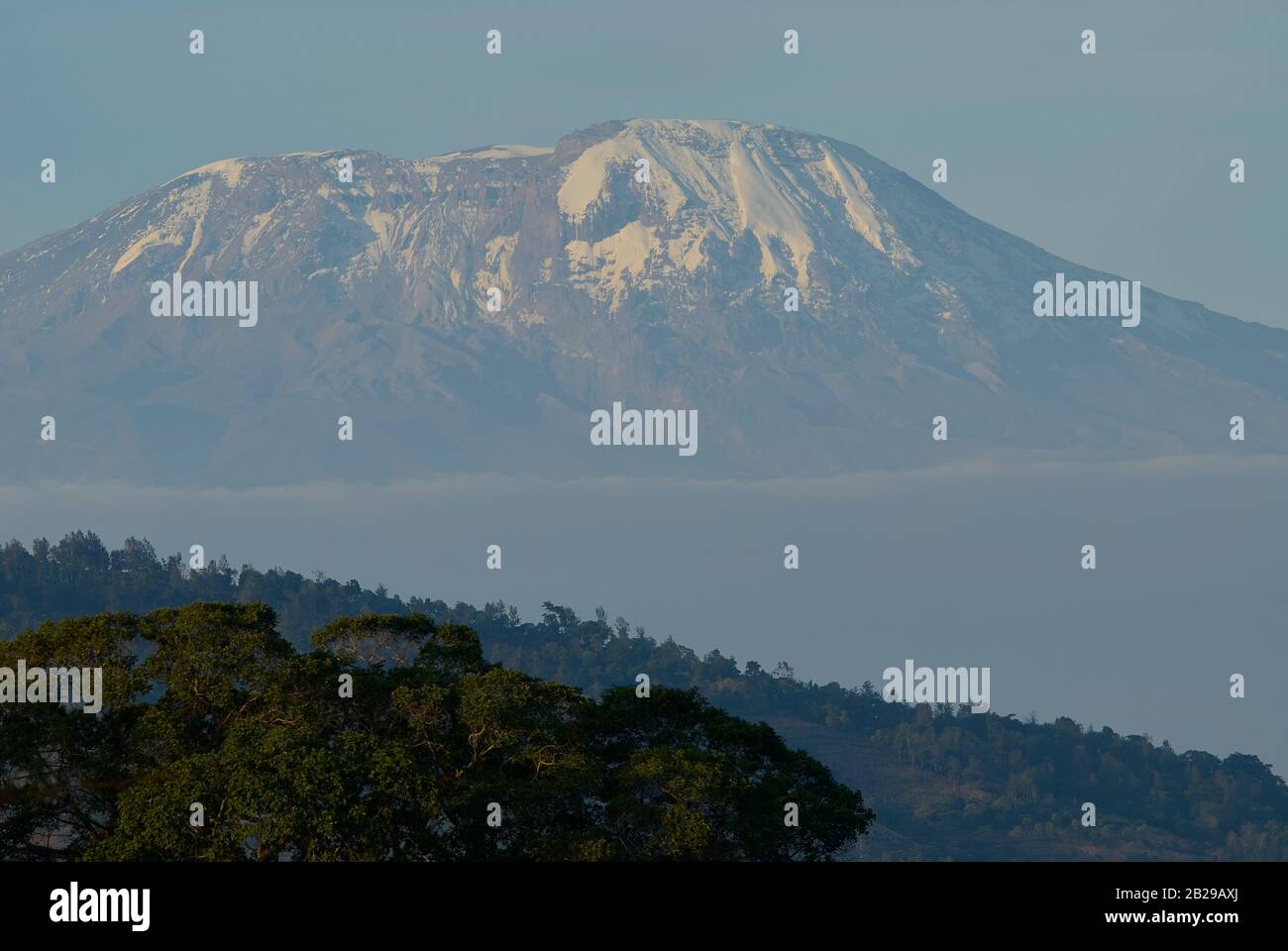Mt Kilimanjaro with Kibo peak, the highest mountain in Africa Stock ...