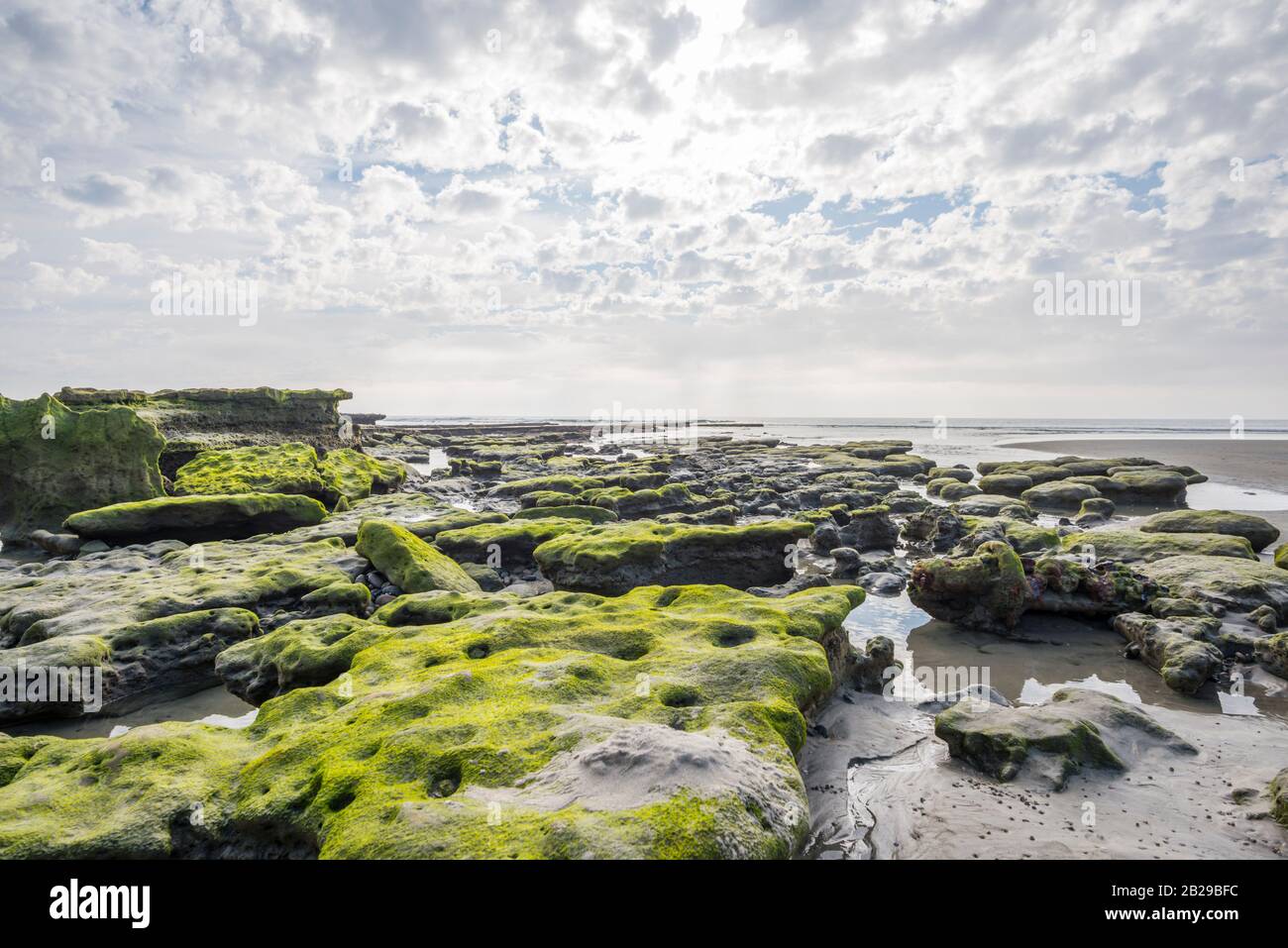 Reef beach hi-res stock photography and images - Alamy