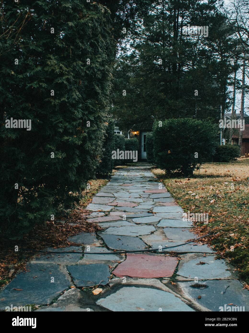 Whethered hi-res stock photography and images - Alamy