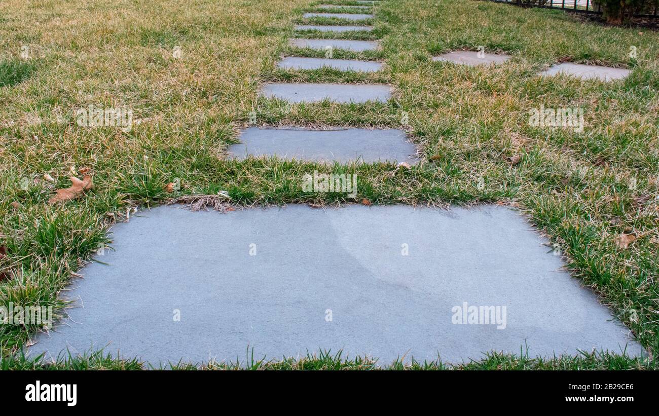 A Grey Stone Path in a Freshly Mowed Lawn Leading to a Backyard That's ...