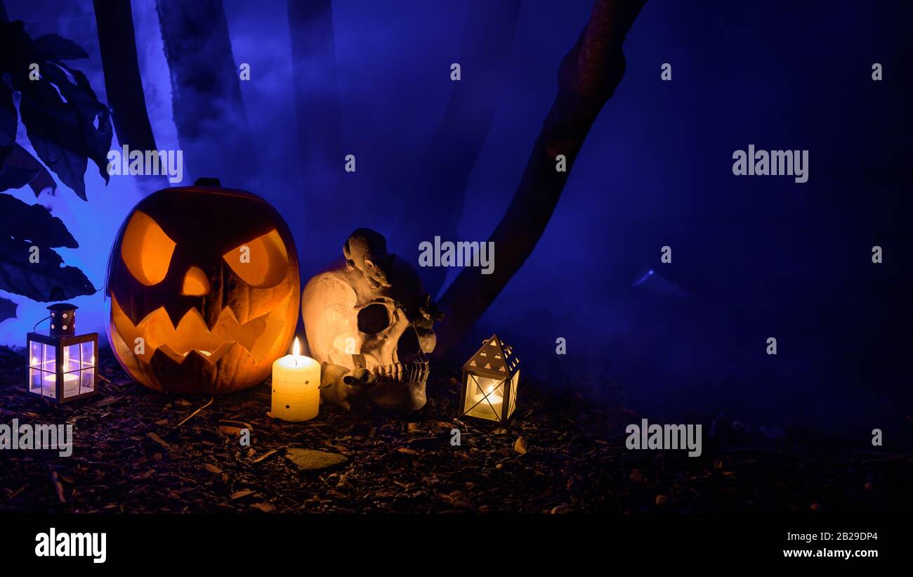 Halloween Pumpkin and skull surrounded by dark trees and blue smoke ...
