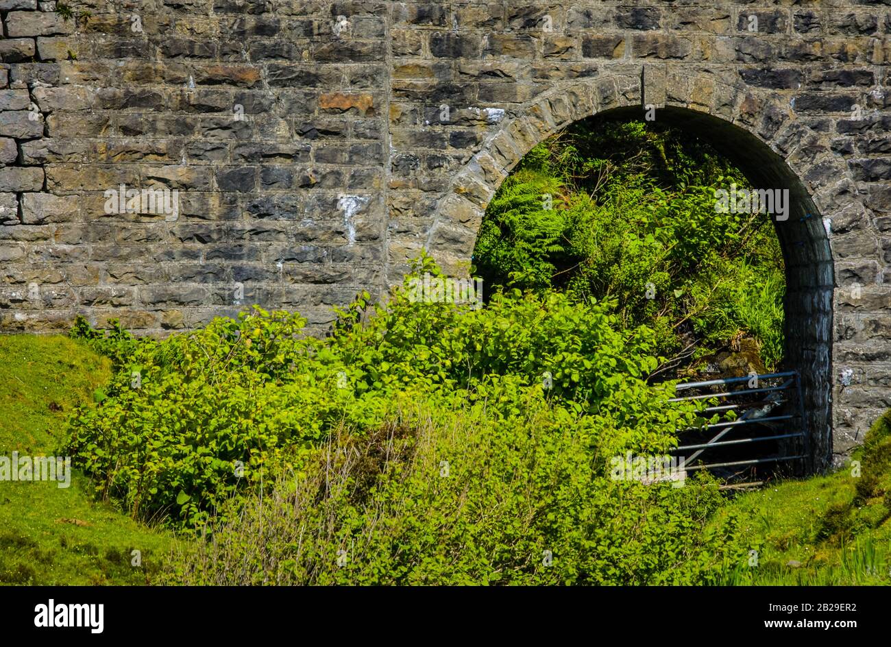 Old bridge and picturesque Scotland morning landscape Stock Photo - Alamy