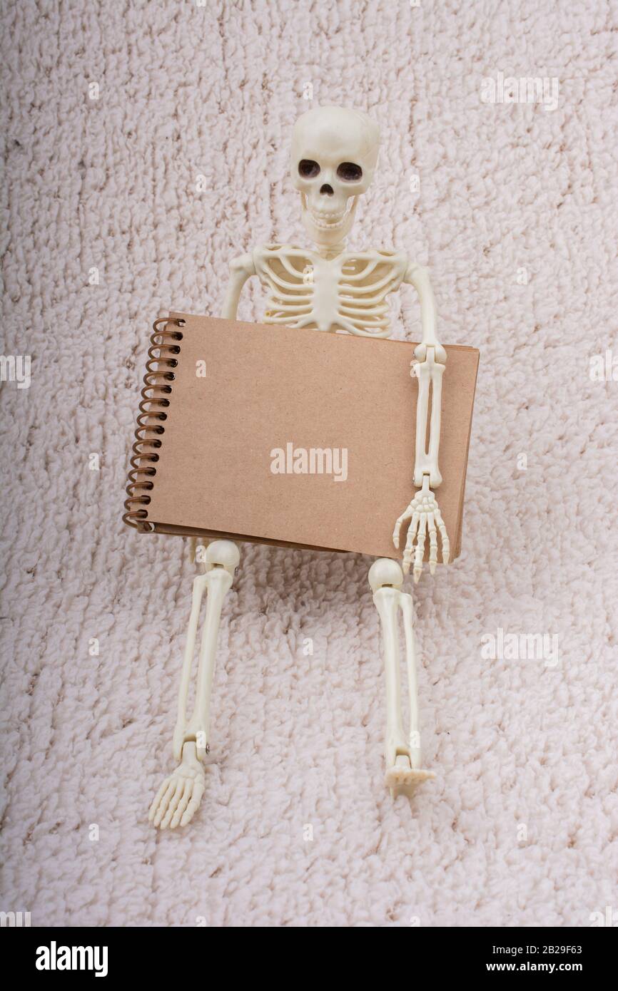 Human skeleton model for medical anatomy science with notebook in hand ...