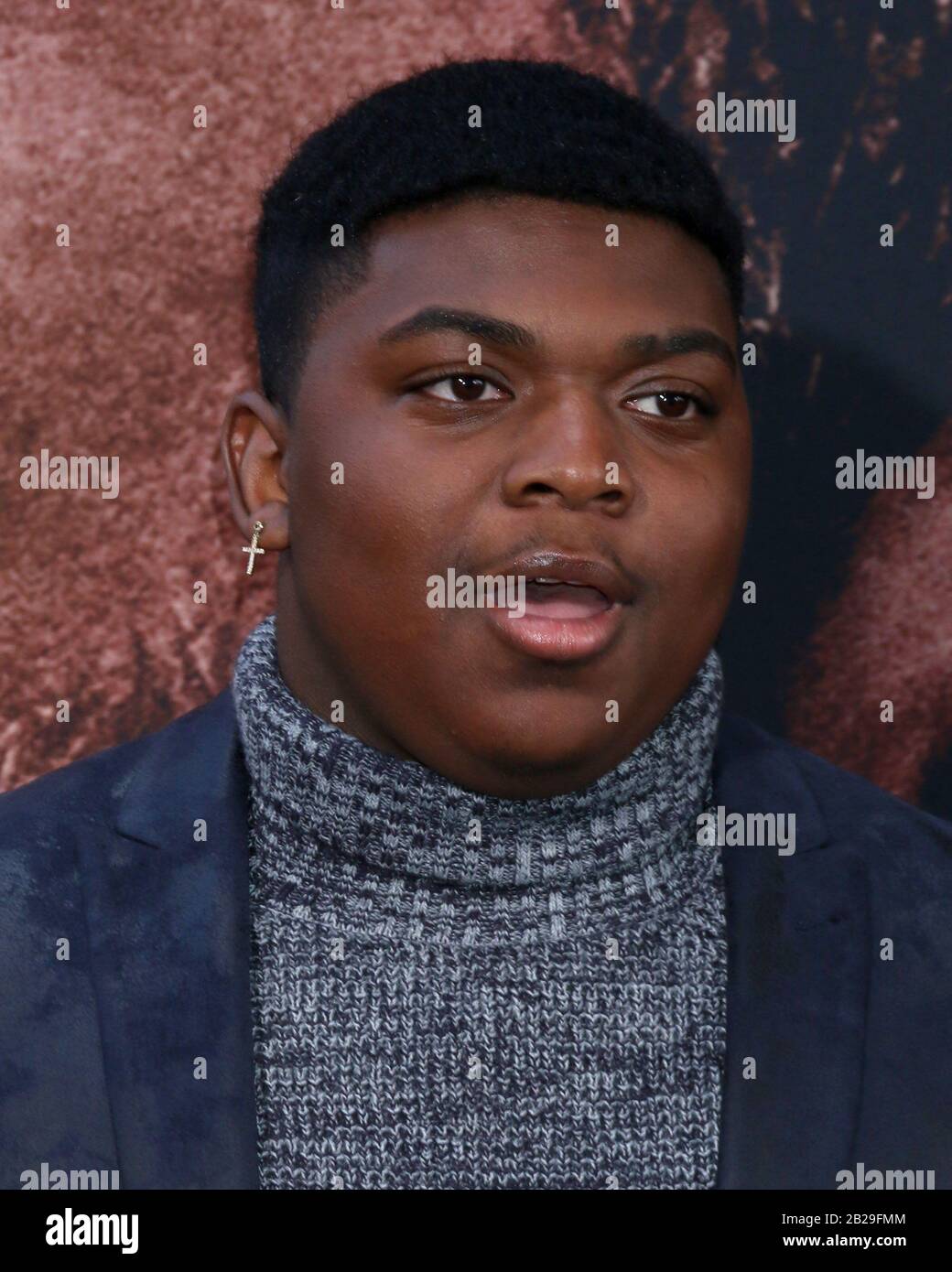 Los Angeles, CA. 1st Mar, 2020. Charles Lott Jr at arrivals for THE WAY ...
