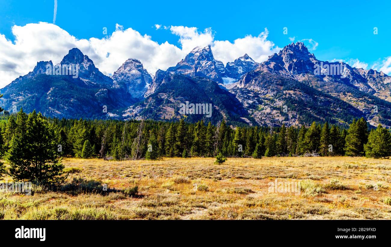 Fall Colors and the tall mountain peaks of Middle Teton, Grand Teton ...