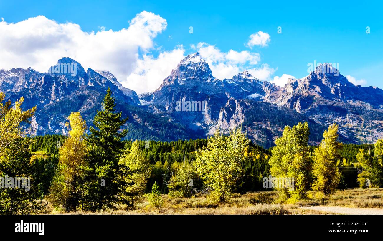 Fall Colors and the tall mountain peaks of Middle Teton, Grand Teton ...