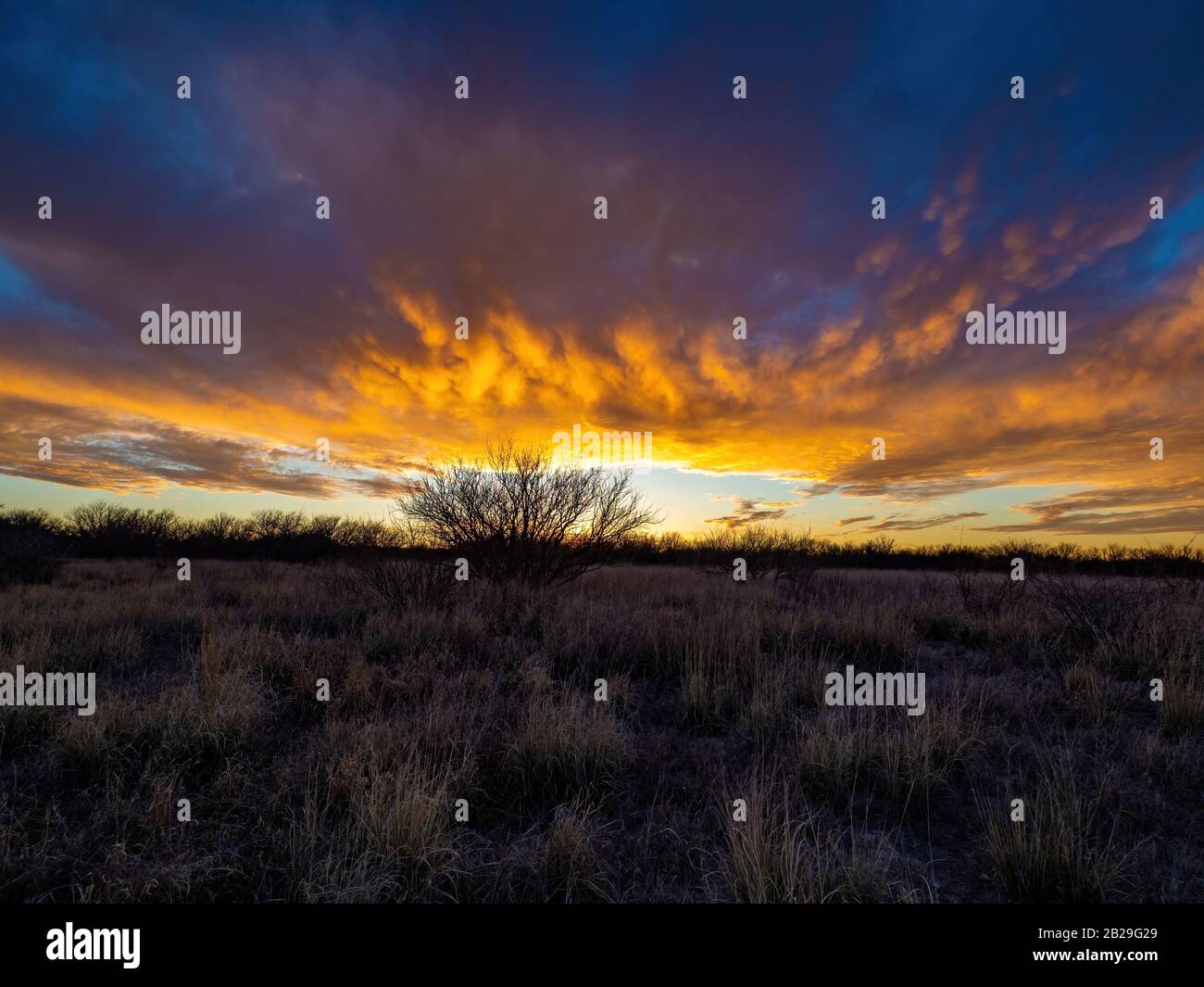 sunset over desert field Stock Photo - Alamy