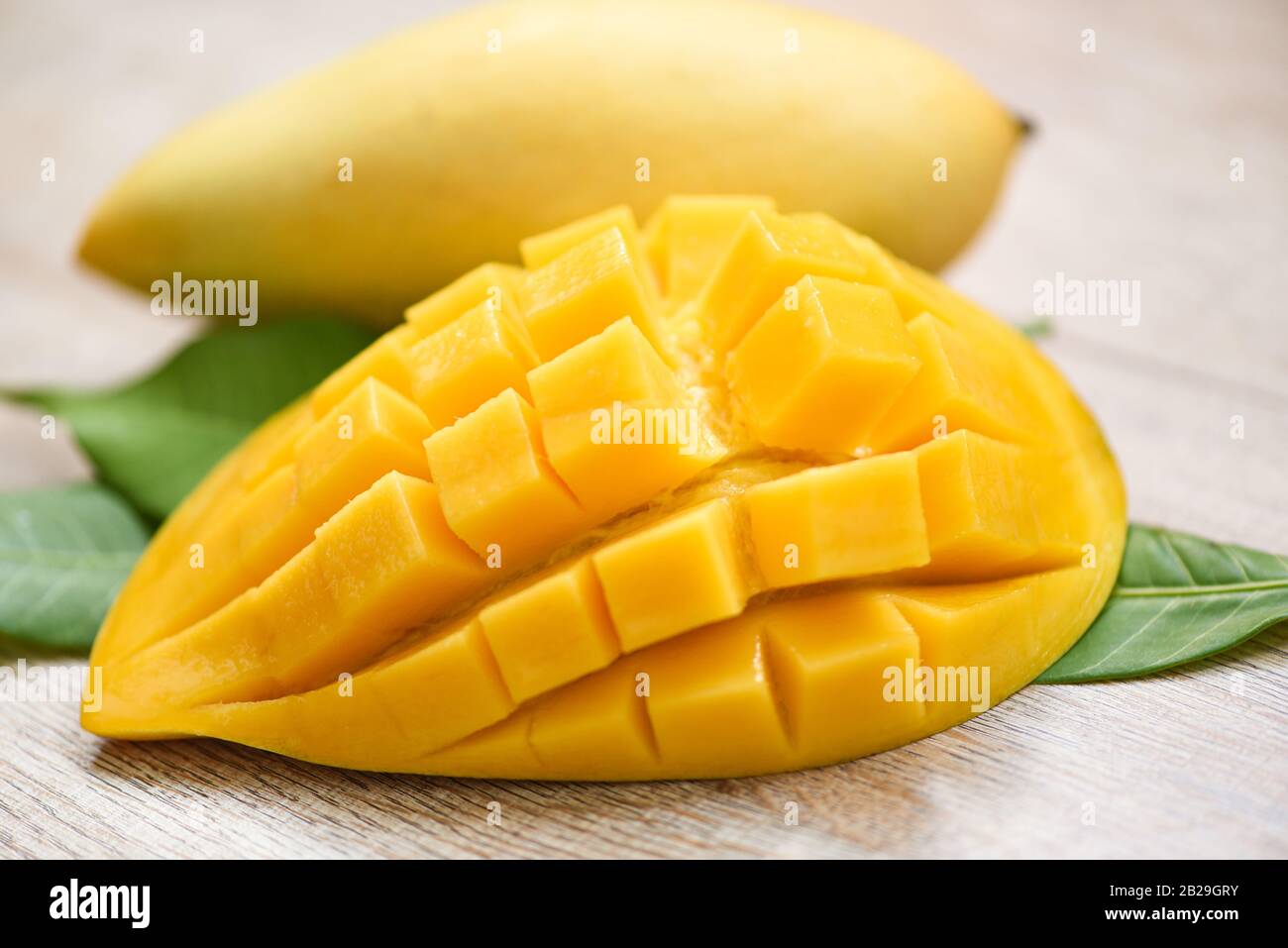 Cut mango from tree hi-res stock photography and images - Alamy