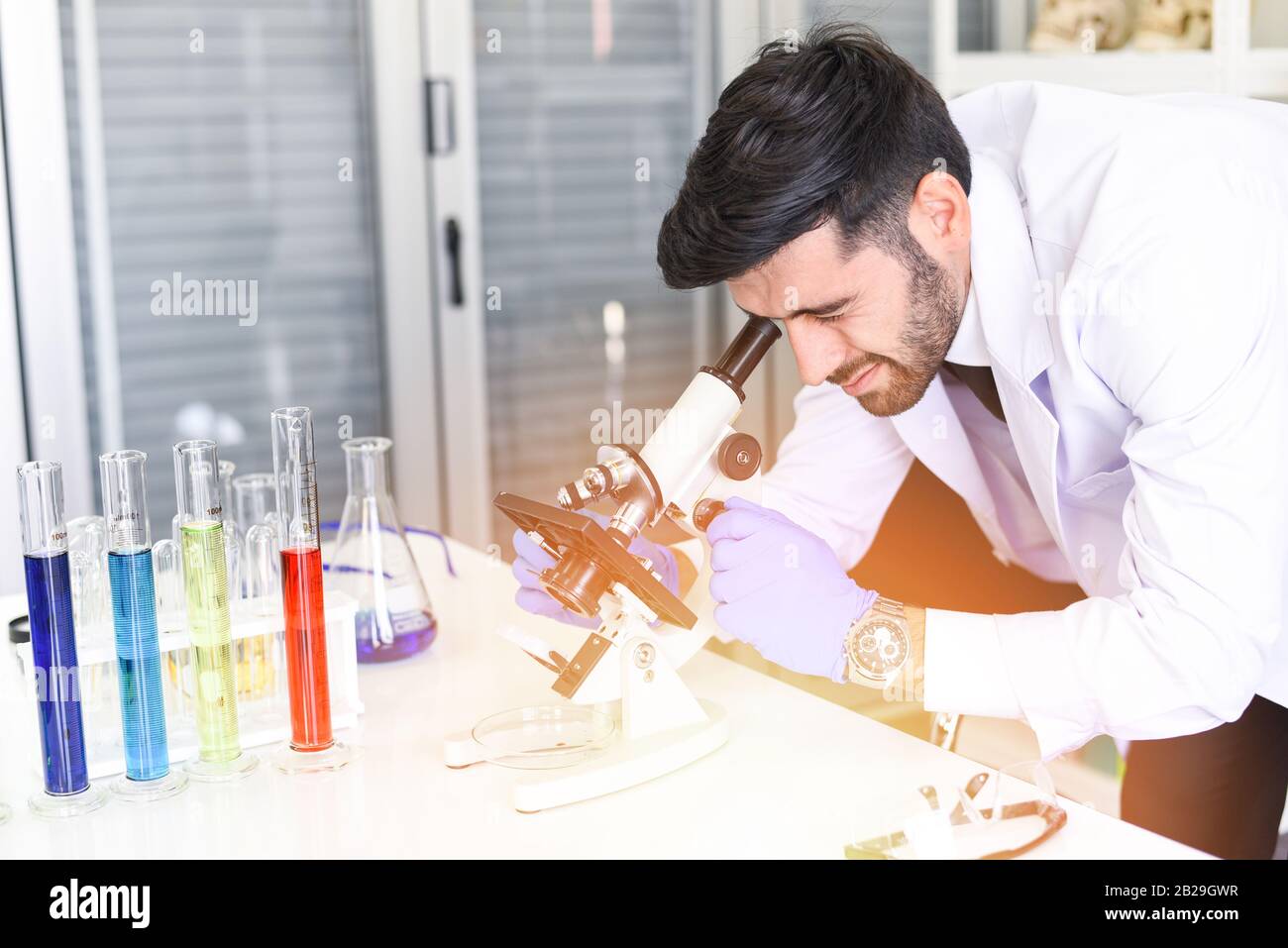 Microbiology lab computer screen hi-res stock photography and images ...