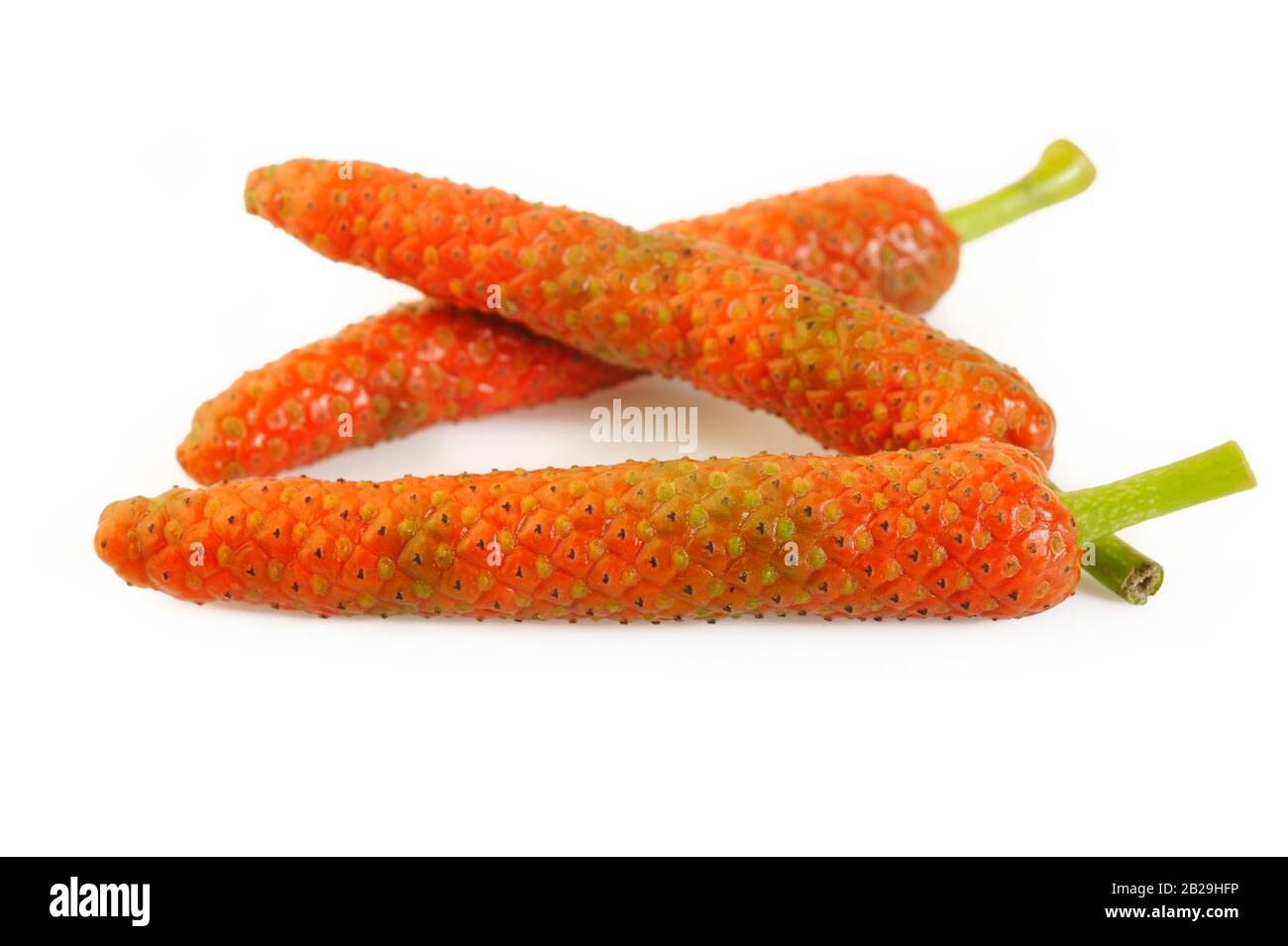 Long pepper isolated on white background Stock Photo - Alamy