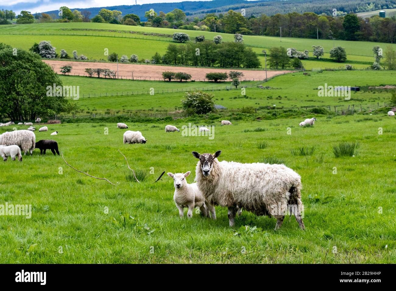 A walk from the village of Moulin to the ruins of Black Castle in the ...