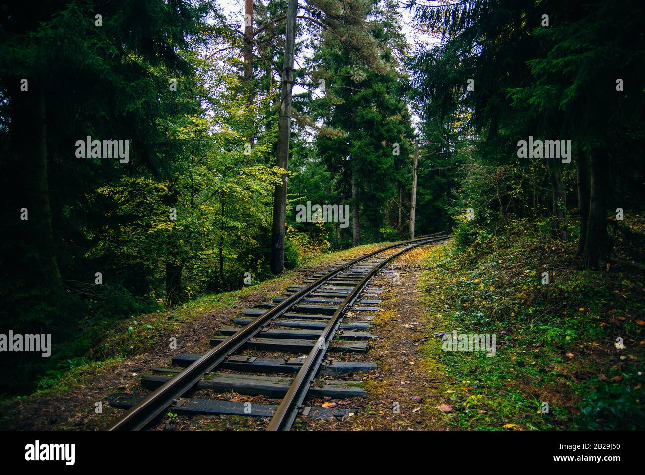 rail road in the forest in perspective. Railroad track winding through ...