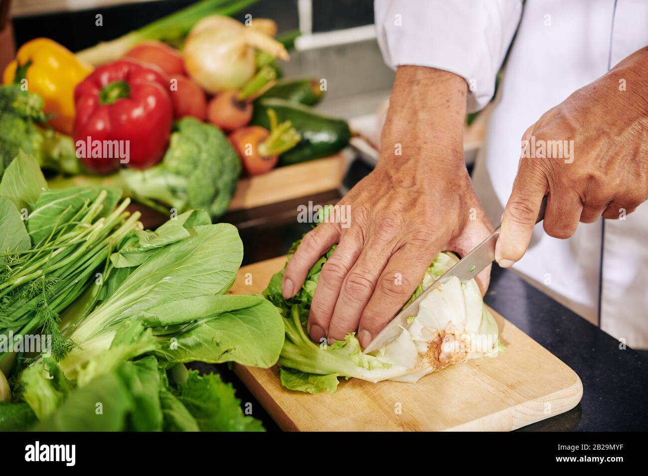 Hands of senior man cutting off lettuce root with sharp knife on wooden ...