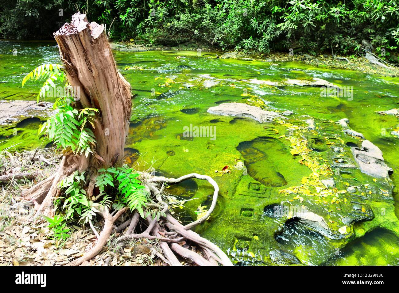 River of a thousand linga hi-res stock photography and images - Alamy