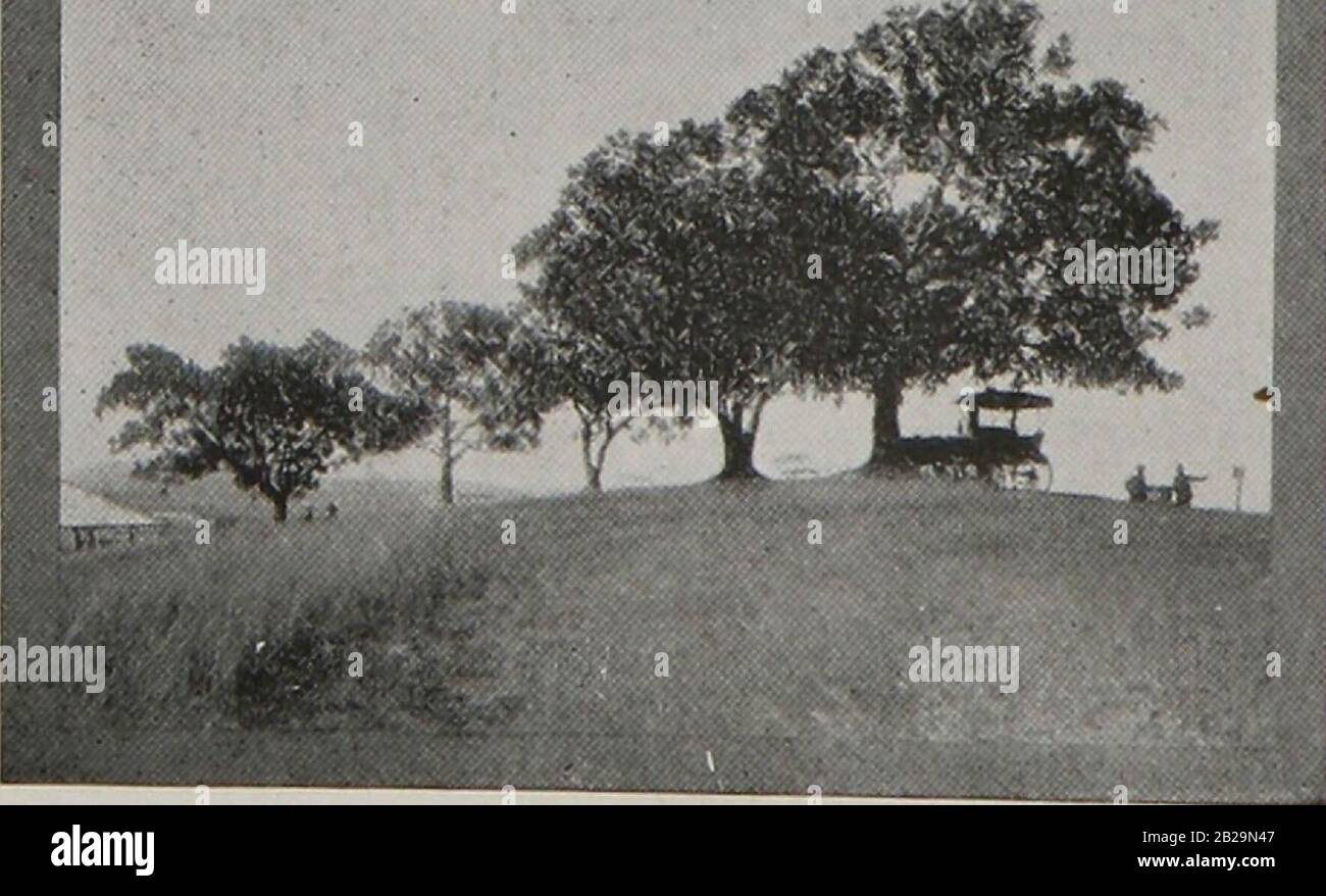 "The Pocket Brisbane 1915" (1915 Stock Photo - Alamy