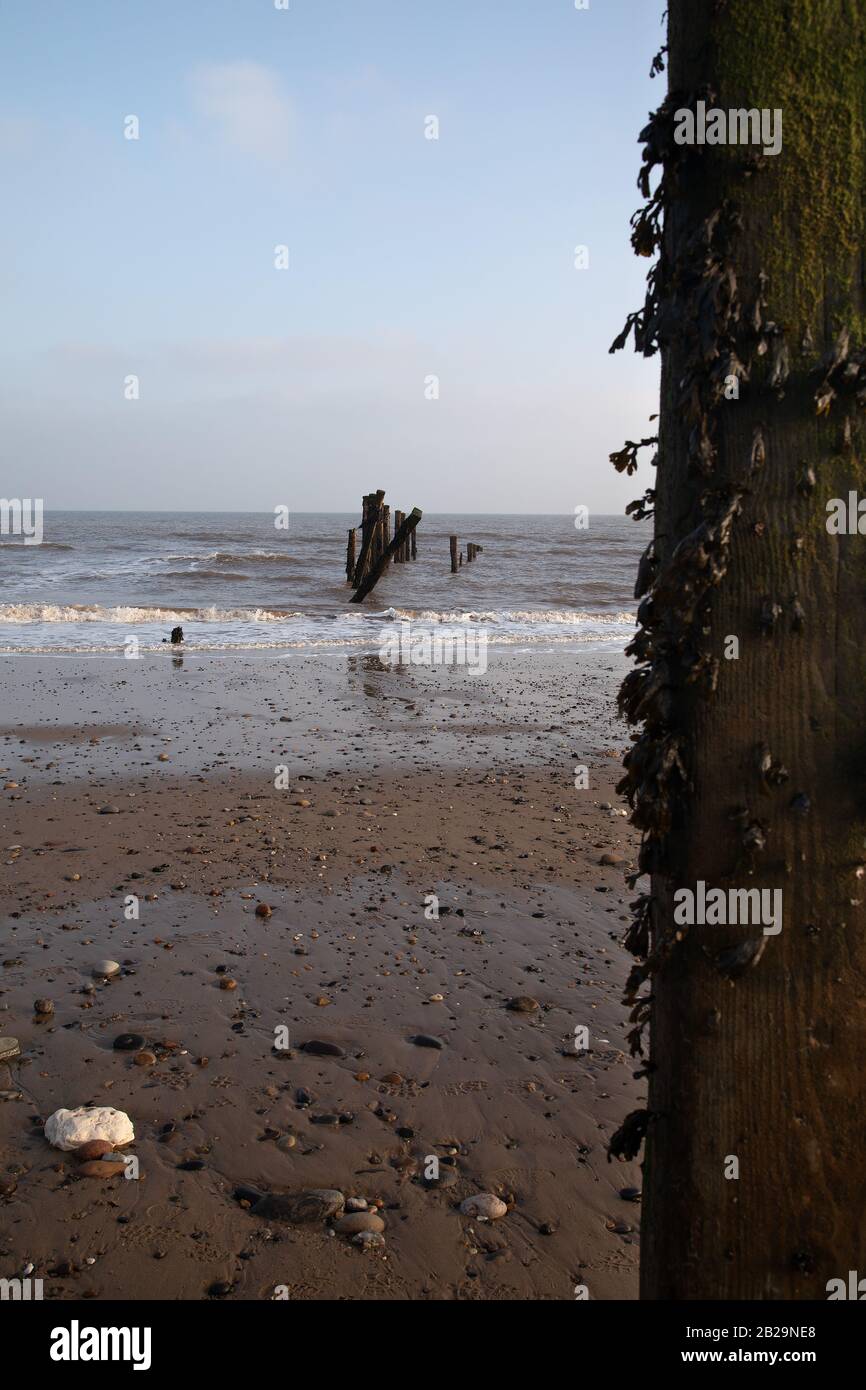 Spurn head walking hi-res stock photography and images - Alamy