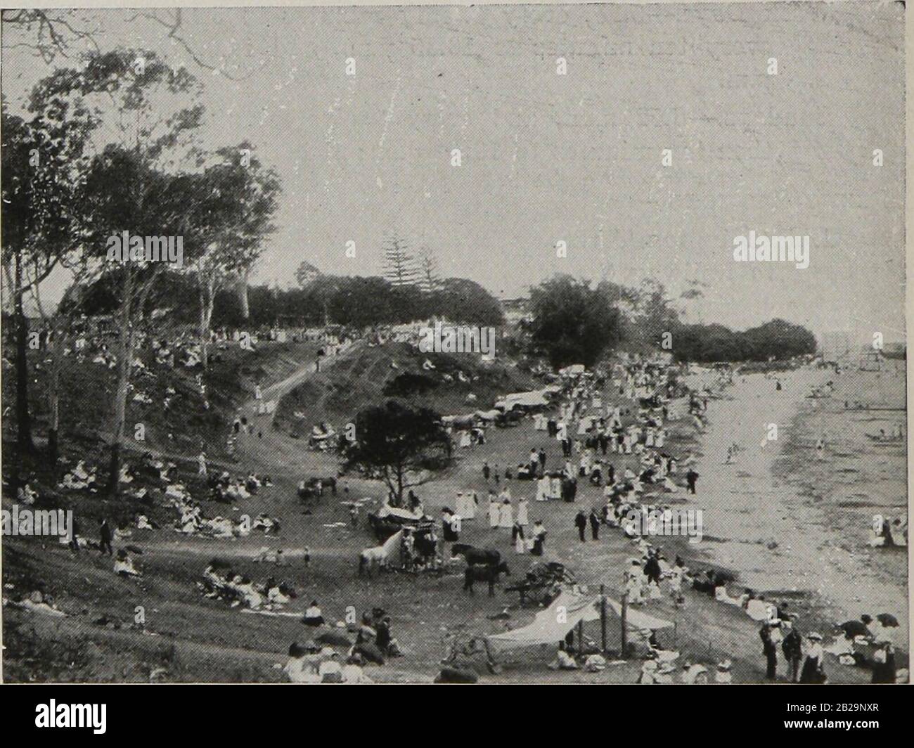 "The Pocket Brisbane 1915" (1915 Stock Photo - Alamy