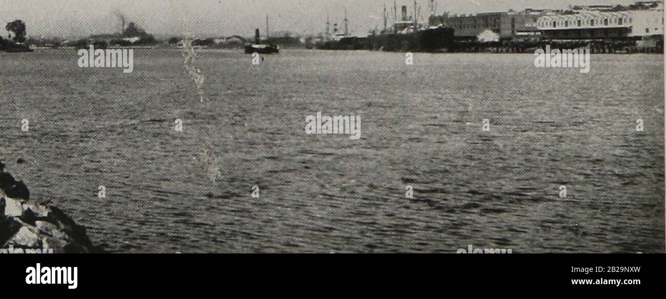 "The Pocket Brisbane 1915" (1915 Stock Photo - Alamy