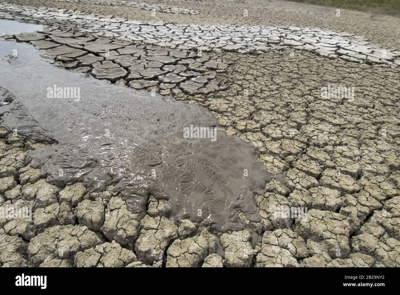 Mud volcano flows over cracked earth Stock Photo - Alamy