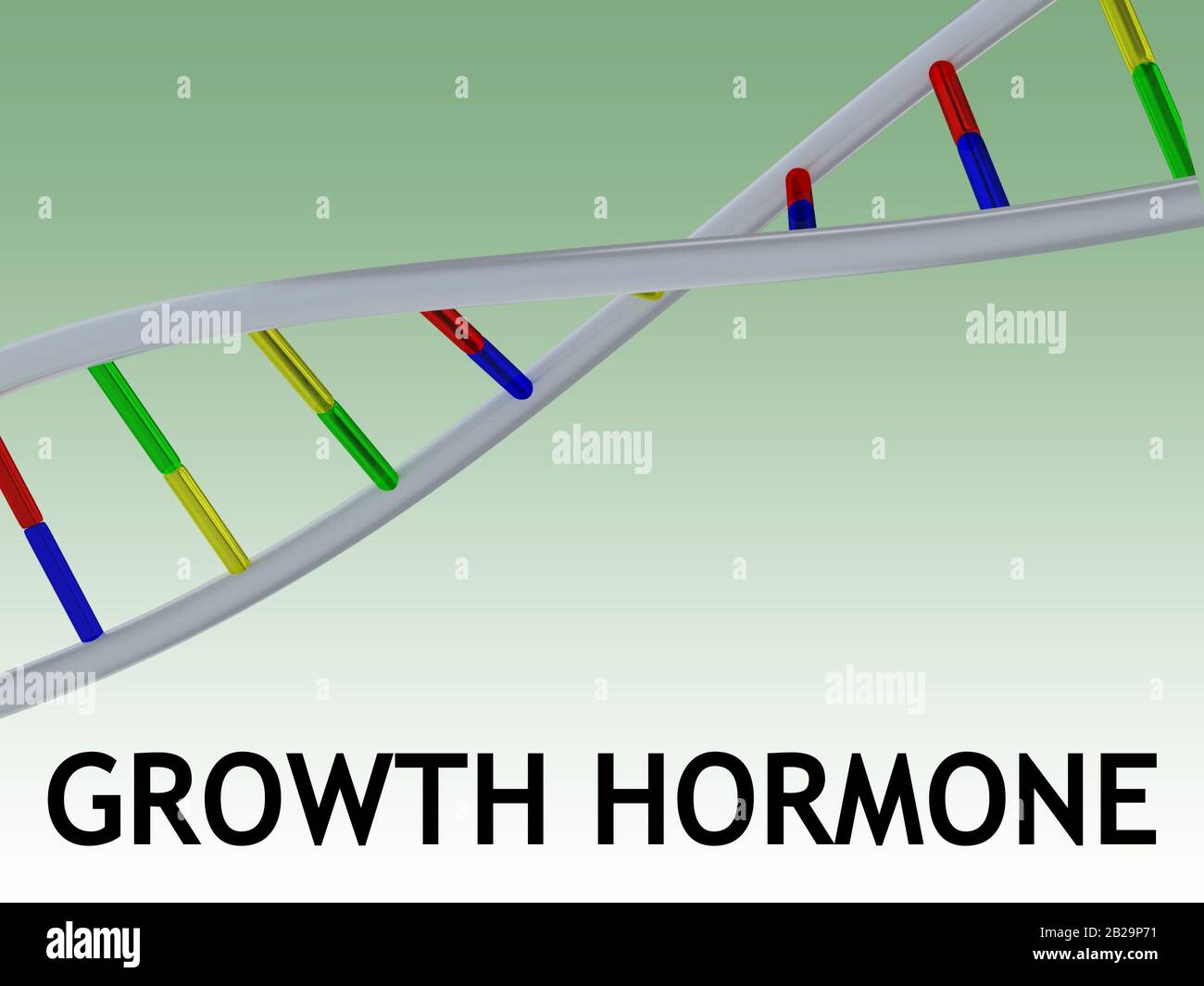3D illustration of GROWTH HORMONE script with DNA double helix ...