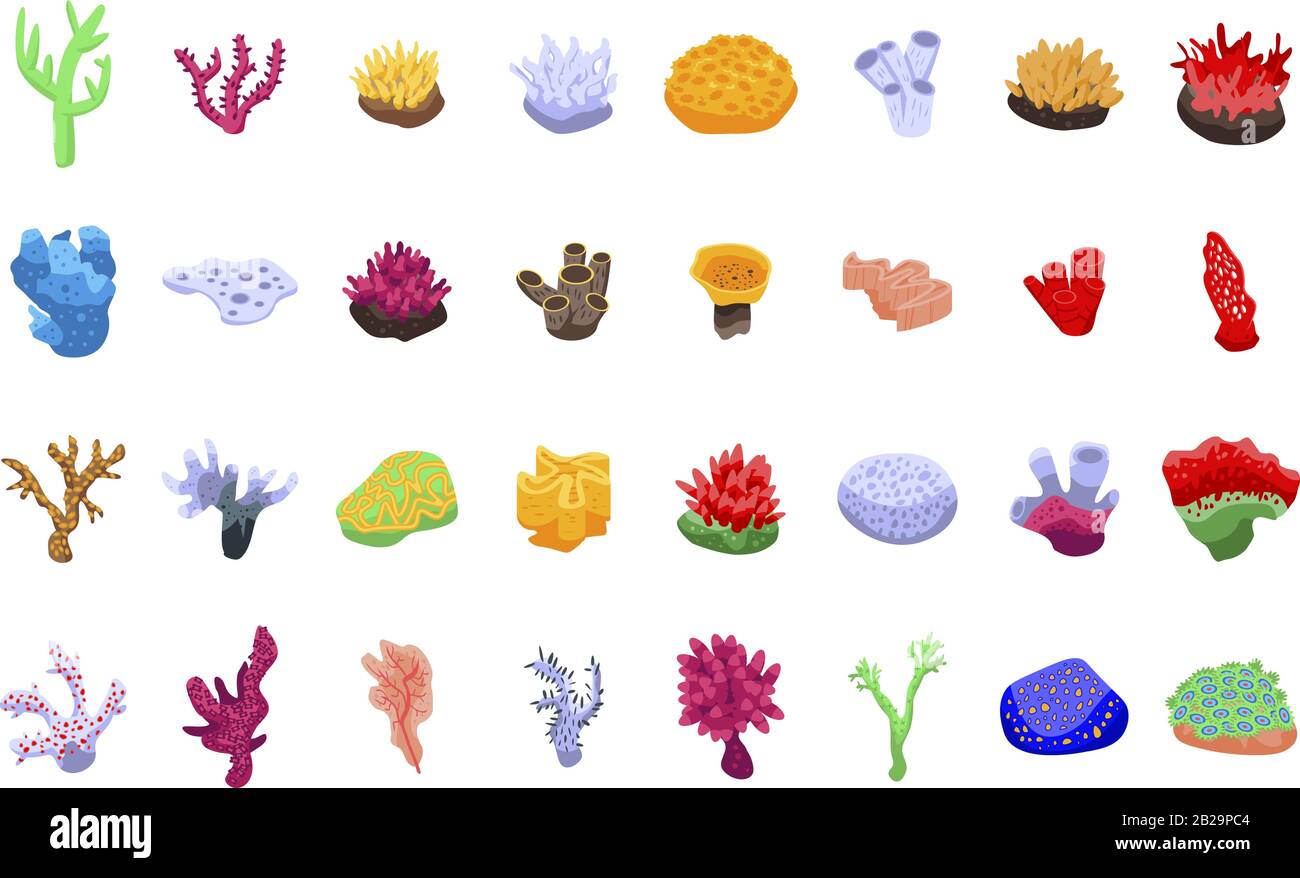 Beach red algae Stock Vector Images - Alamy