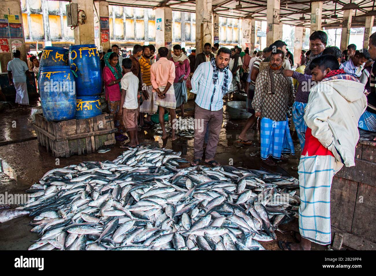 Seafood Fish Market In Bangladesh at Joel Viveros blog