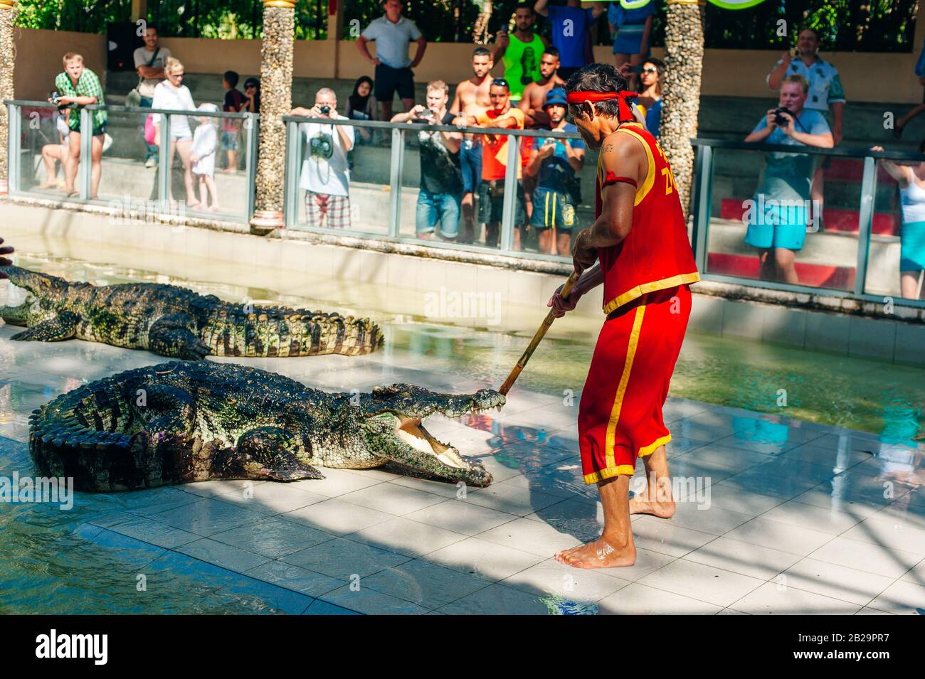 Thailand, July 2019 Crocodile show at crocodile farm in Samutprakarn ...