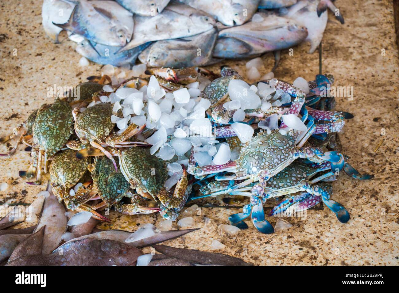 Chnage environment hi-res stock photography and images - Alamy