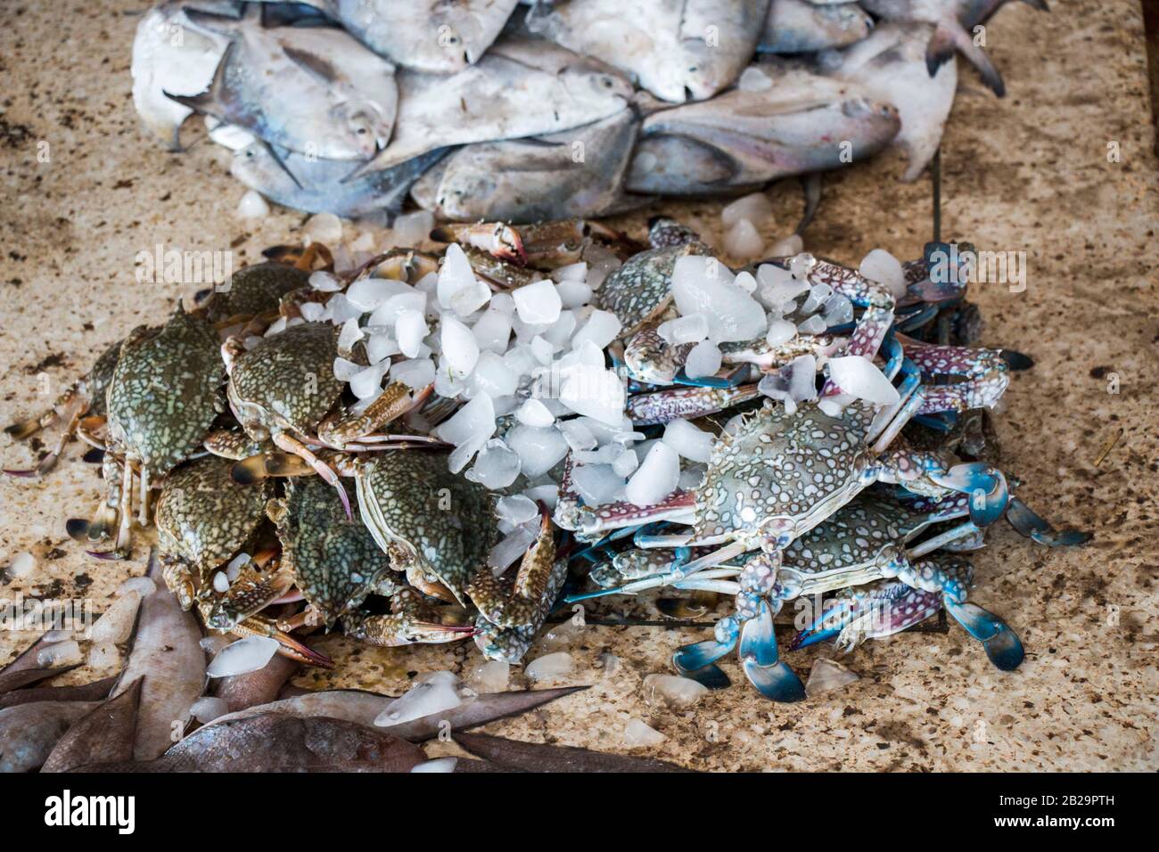 Seafood is any form of sea life regarded as food by humans, including ...