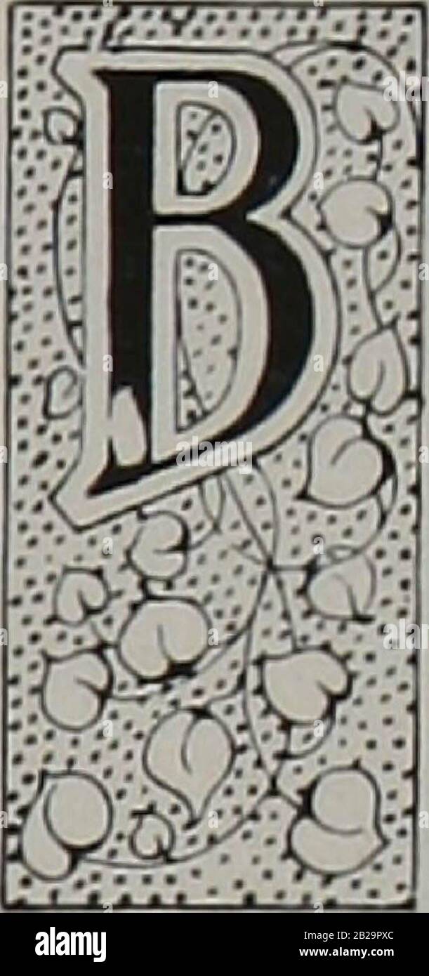 "The Pocket Brisbane 1915" (1915 Stock Photo - Alamy