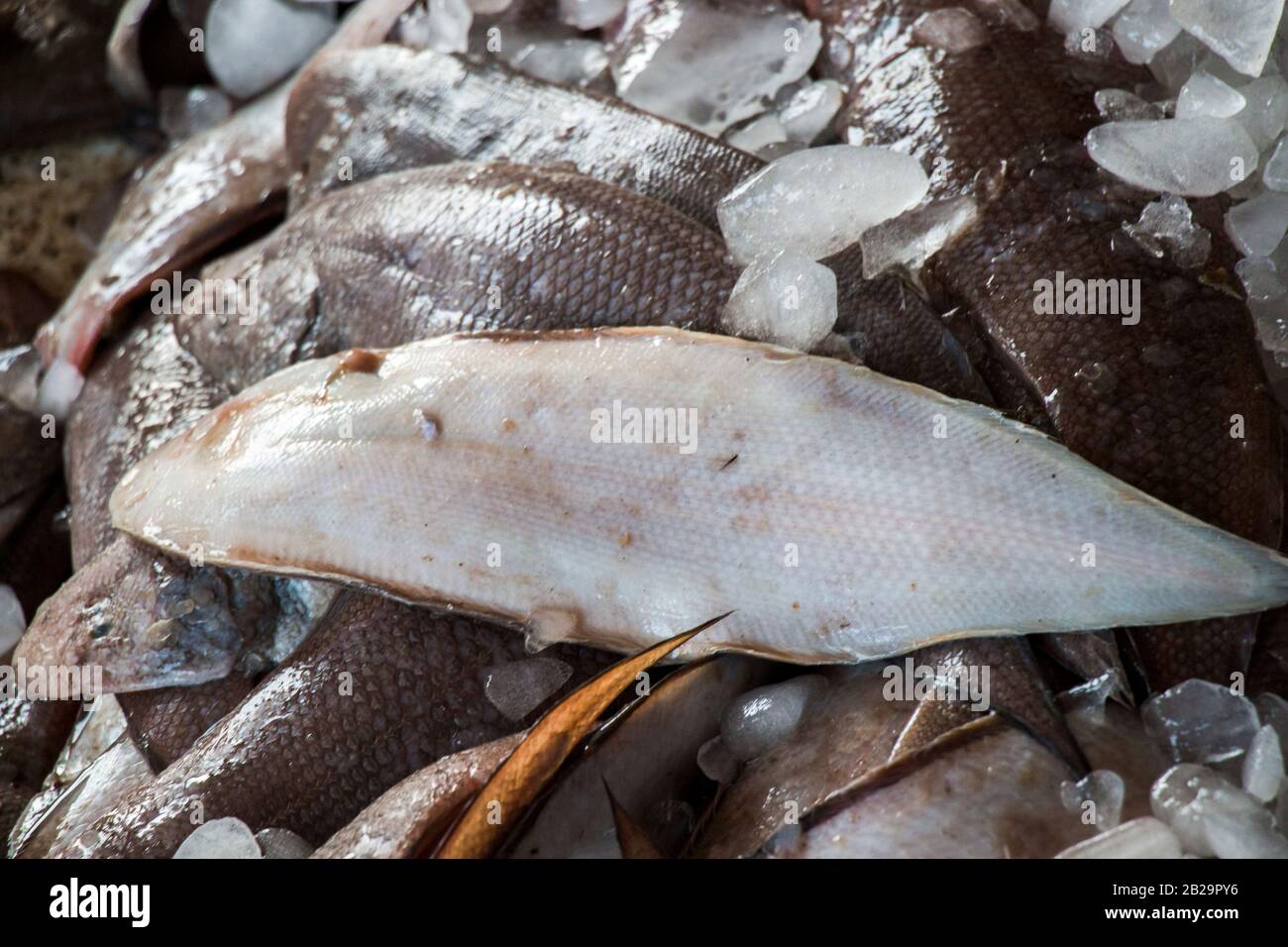 Seafood is any form of sea life regarded as food by humans, including ...