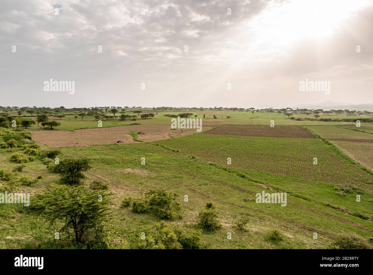 Agriculture and farmland in rural southern Ethiopia Stock Photo - Alamy