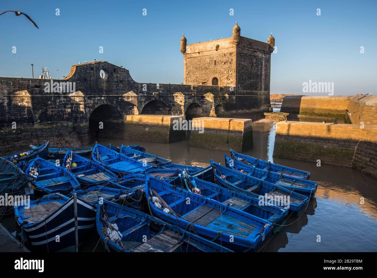 Blue boats in Essaouira port. Old harbour buildings and fortress tower ...