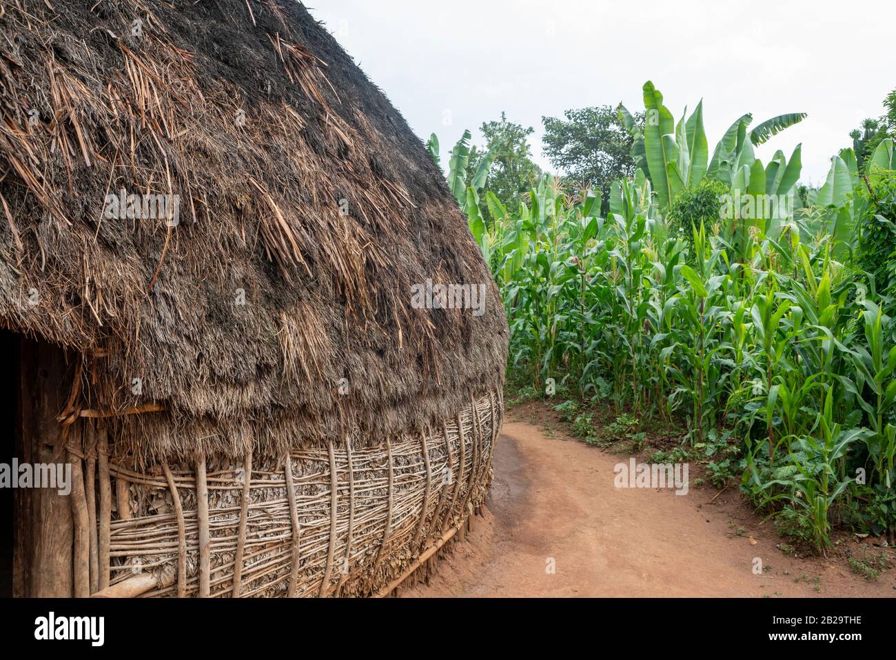 The tukul - the traditional round hut - in a village in Ethiopia Stock ...