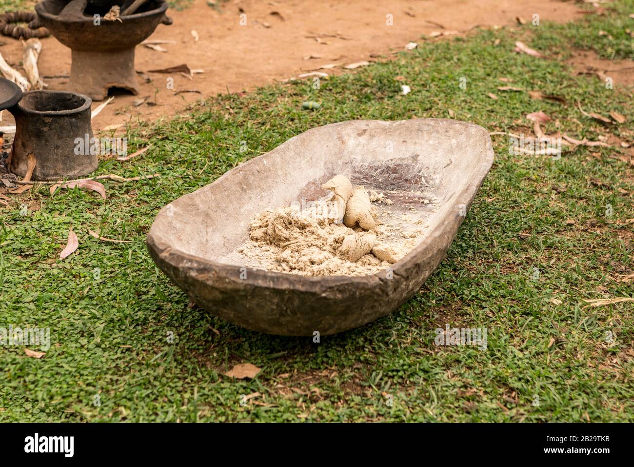 Making of false banana bread-kocho - from the enset plant in a village ...