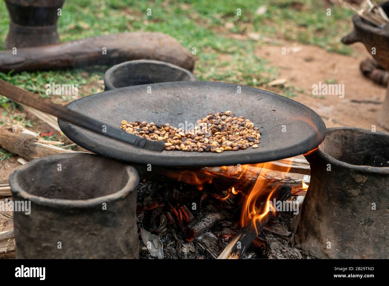 roasting of coffee beans on a flat pan in a village in southern ...