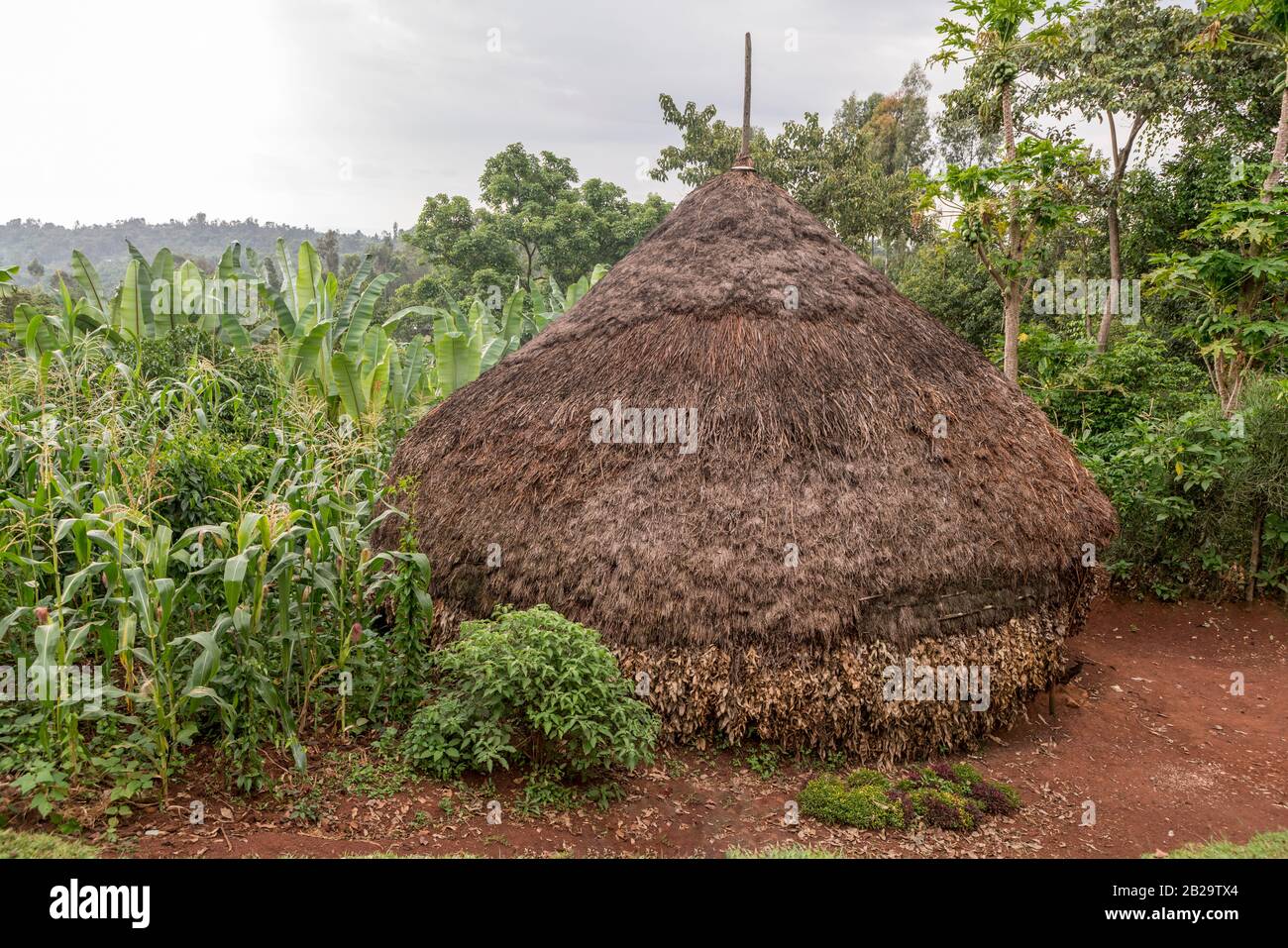 Tukul hut hi-res stock photography and images - Alamy