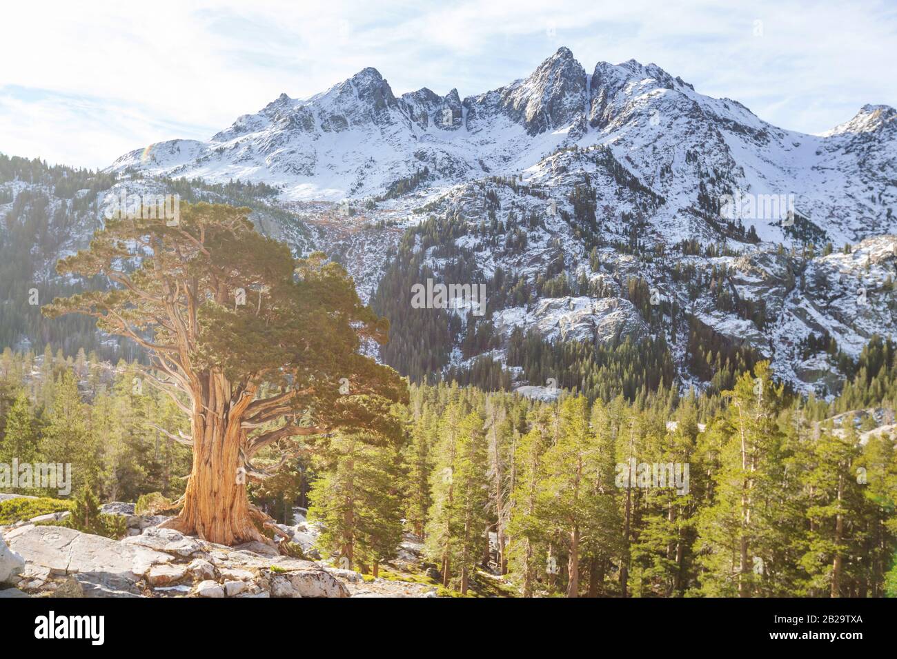 Sierra Nevada mountains in California, USA Stock Photo - Alamy