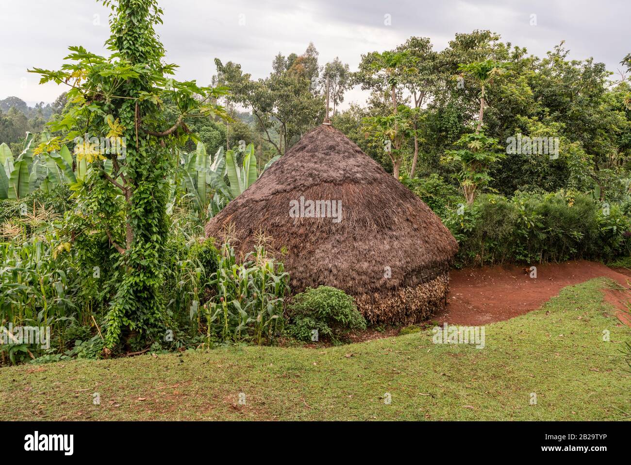 Traditional ethiopian hut tukul hi-res stock photography and images - Alamy