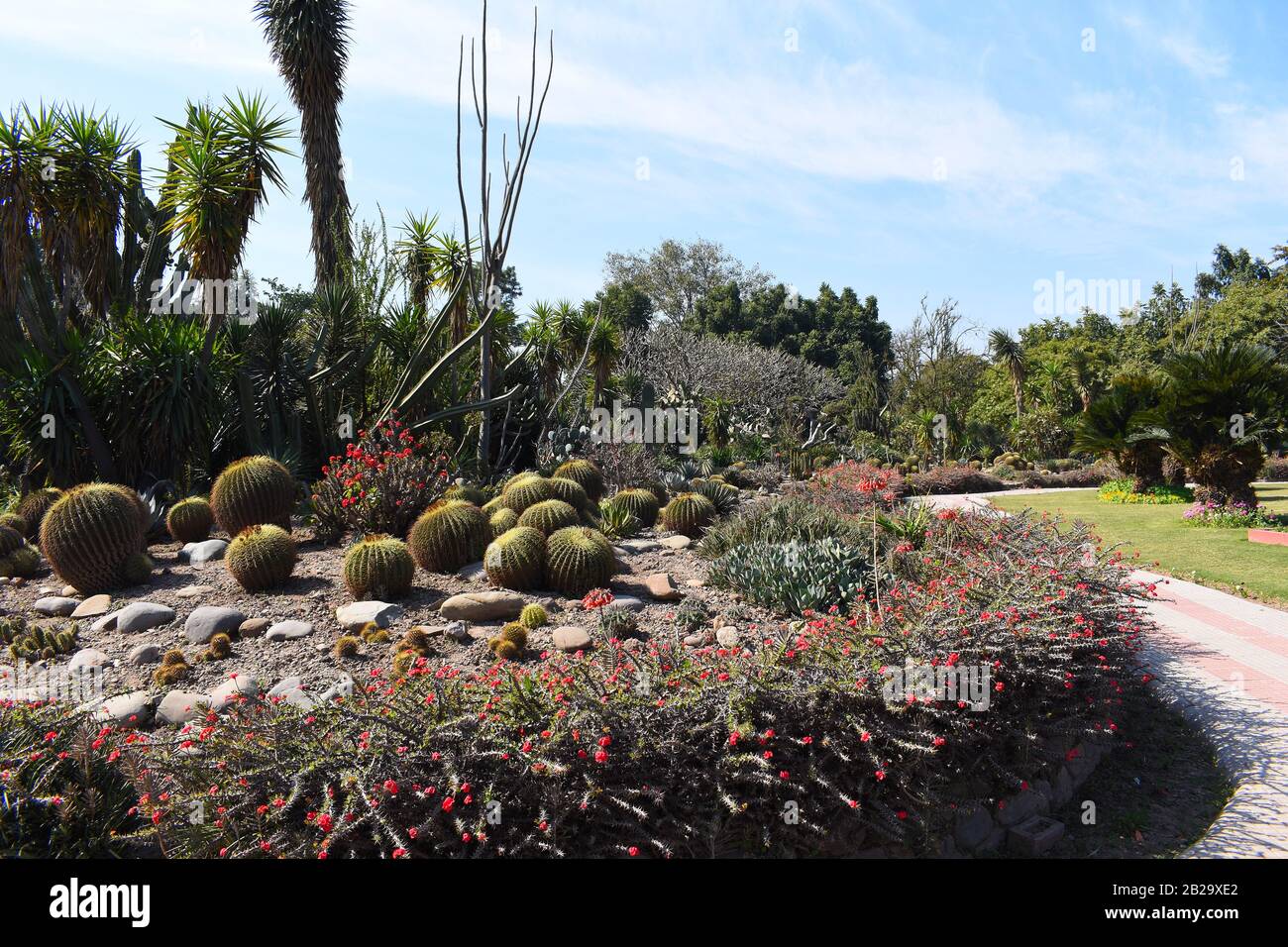 Landscaped shrubs and bushes hi-res stock photography and images - Alamy