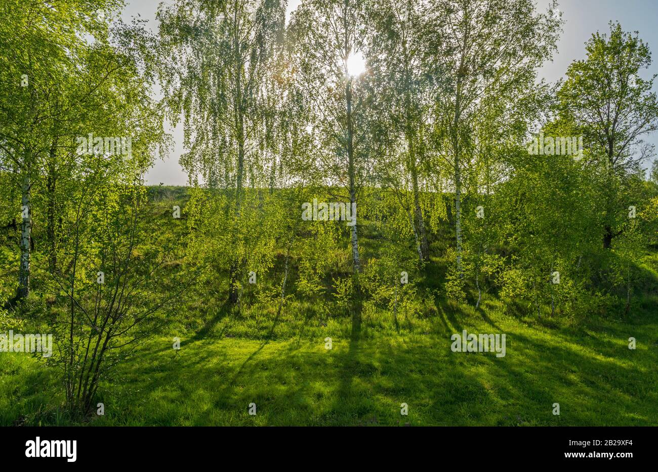 Shades Of Green Grass High Resolution Stock Photography and Images - Alamy