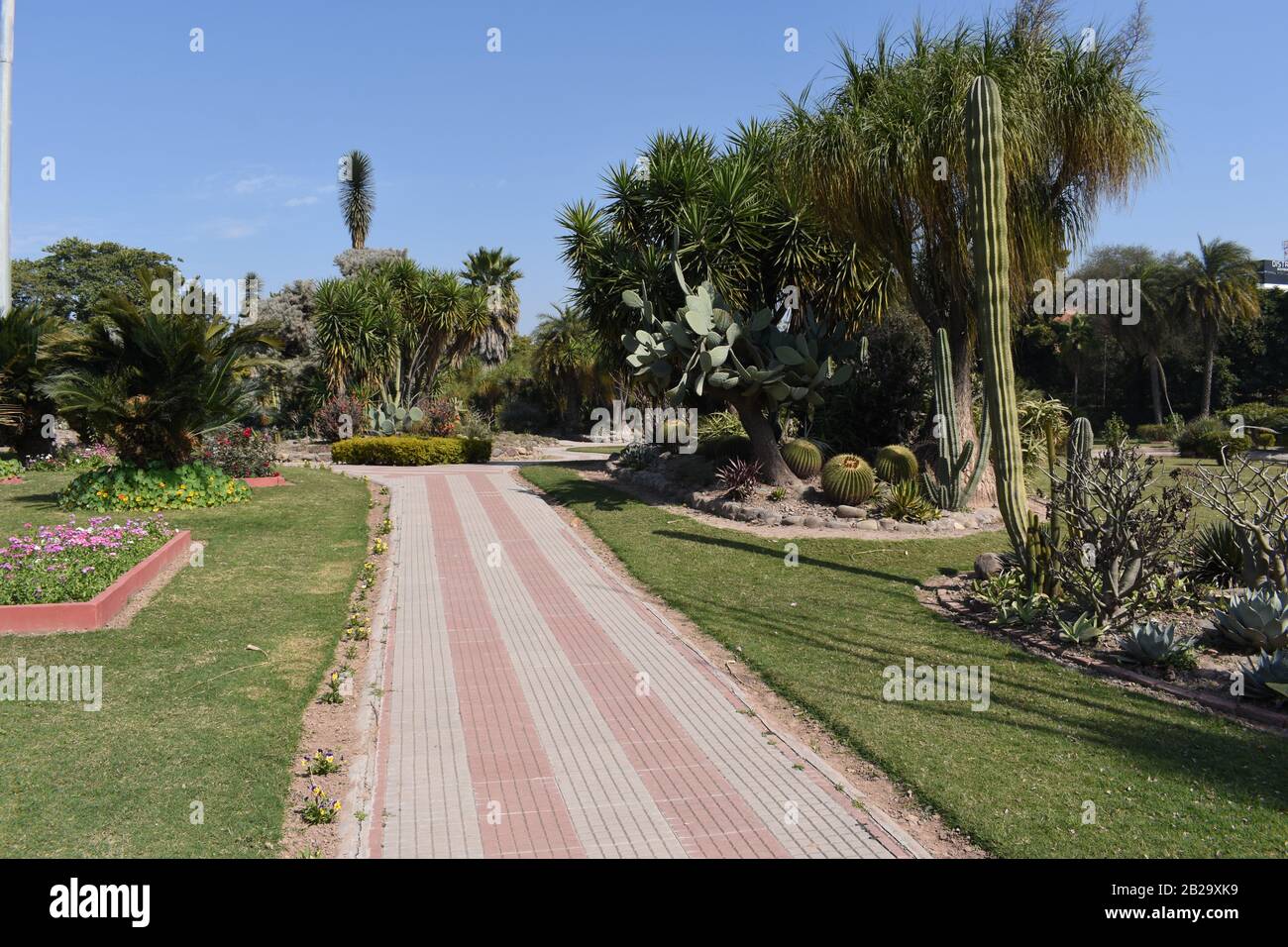 Pathway designs hi-res stock photography and images - Alamy