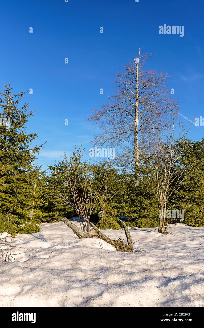 Winter image of the landscape of the Black Forest in winter, Oppenau ...