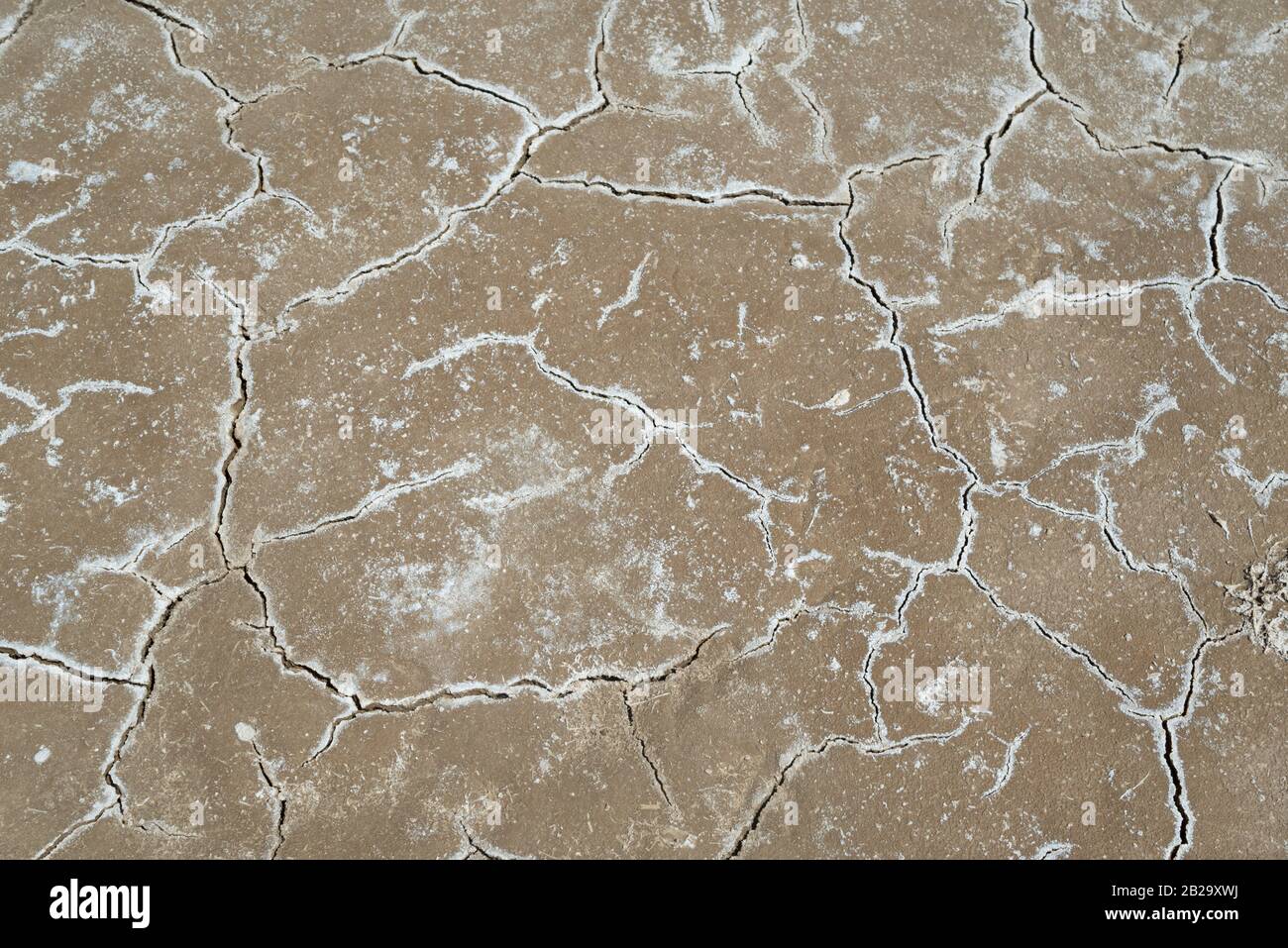 Salted soil hi-res stock photography and images - Alamy