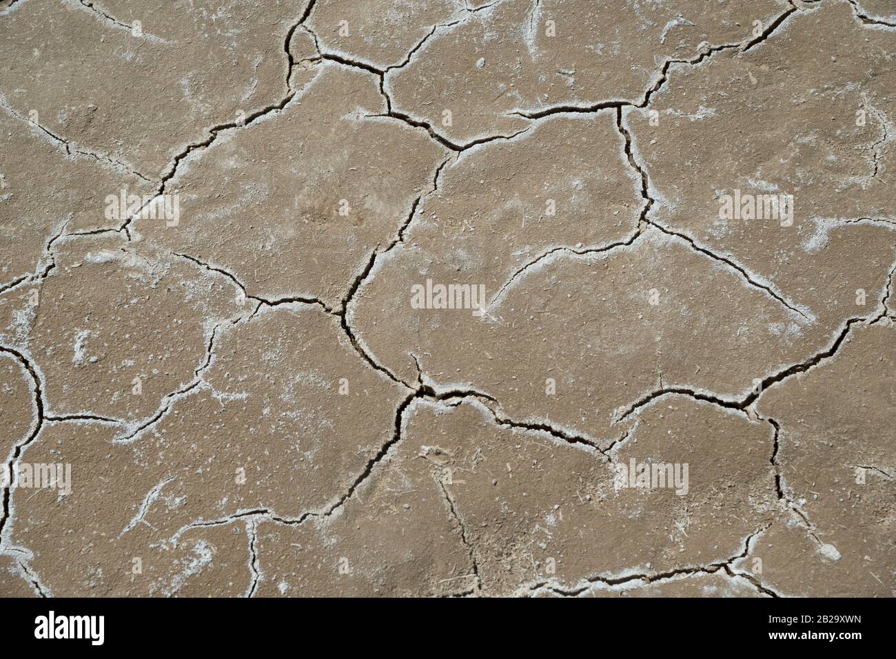 Salted soil hi-res stock photography and images - Alamy