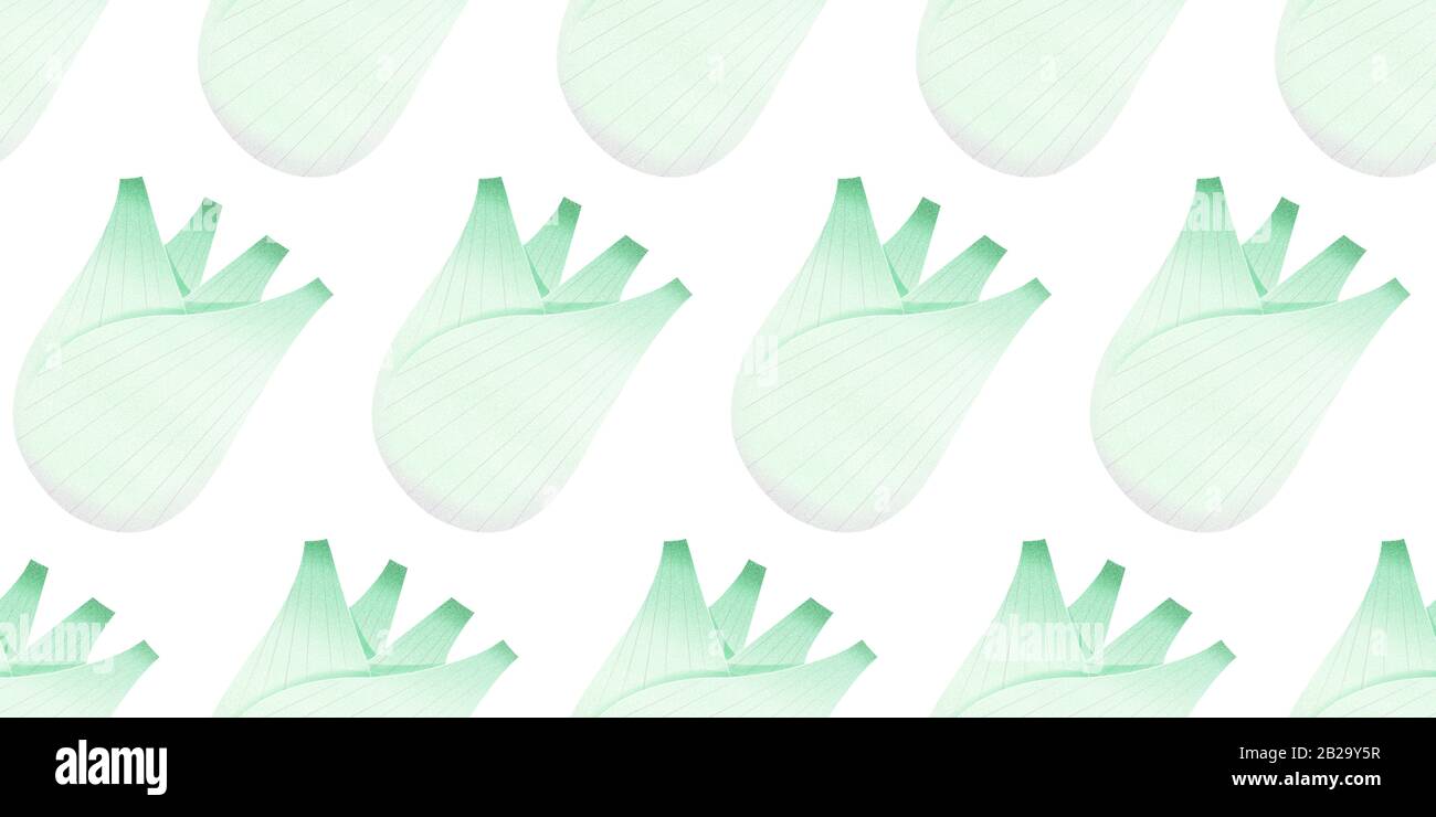 Hand drawn color fennel seamless pattern. Organic fresh vegetable ...