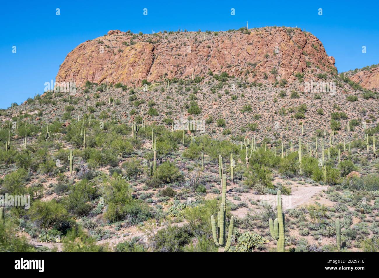 An overlooking view of nature in Apache Junction, Arizona Stock Photo ...