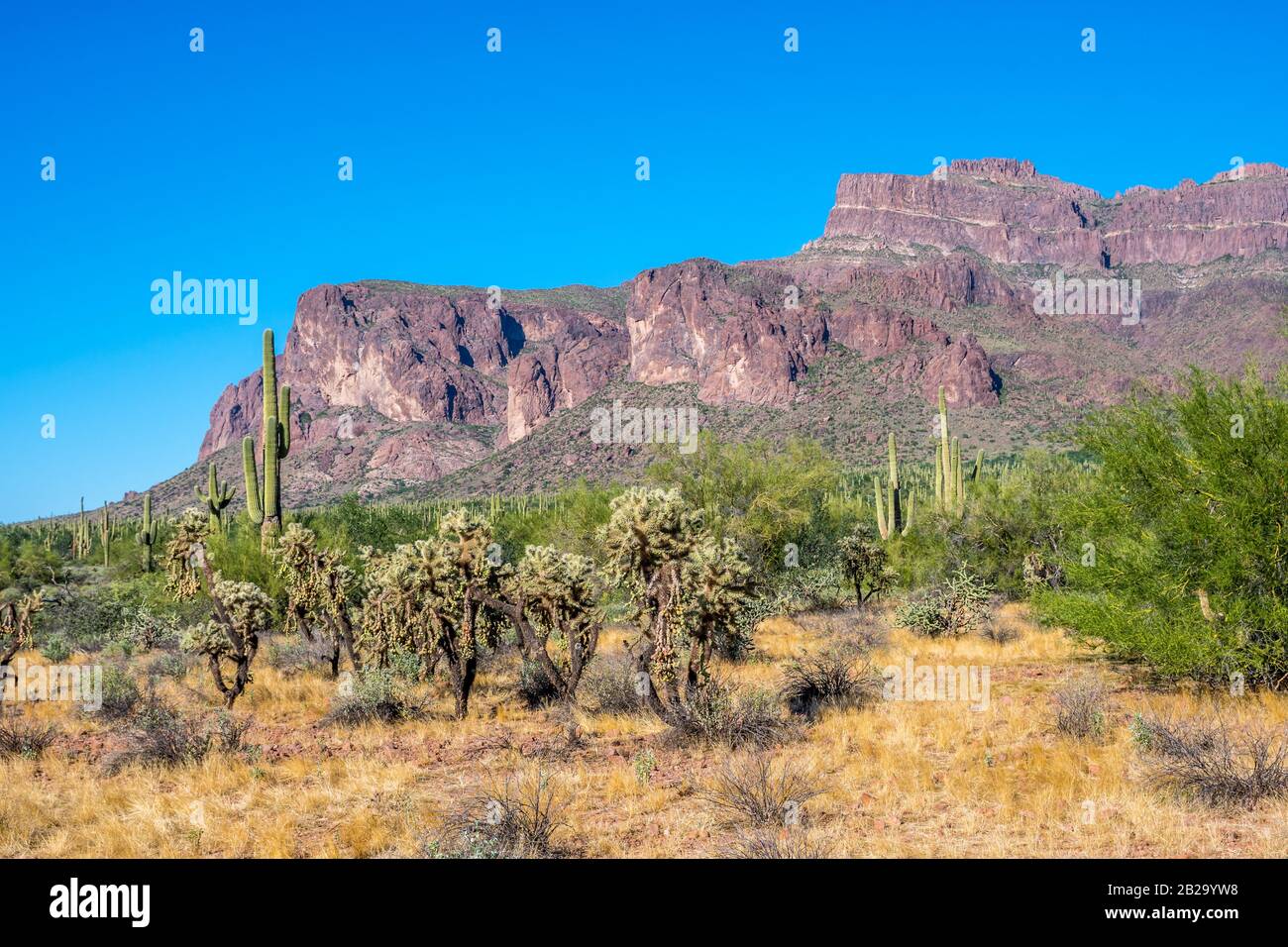 An overlooking view of nature in Apache Junction, Arizona Stock Photo ...